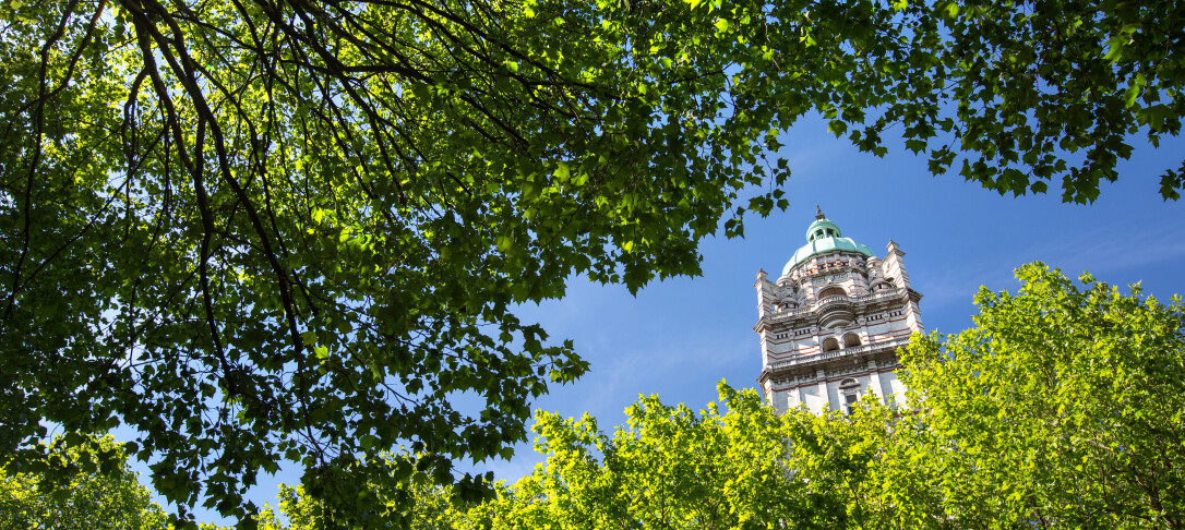 Imperial Student Research Network Picnic | Events | Imperial College London