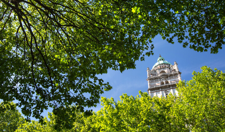 Imperial Student Research Network Picnic | Events | Imperial College London