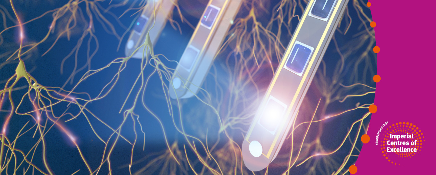 Centre for Neurotechnology | Research groups | Imperial College London