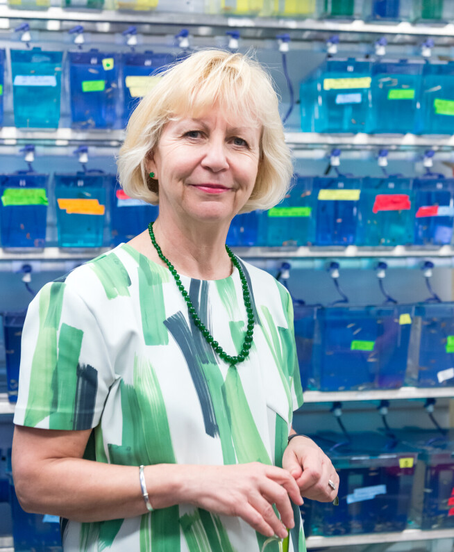 Imperial celebrates achievements of successful applicants | Imperial ...