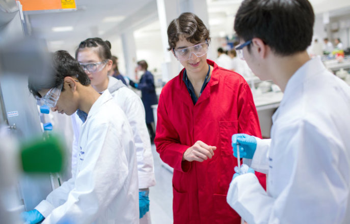 For GTAs and UTAs | Staff | Imperial College London