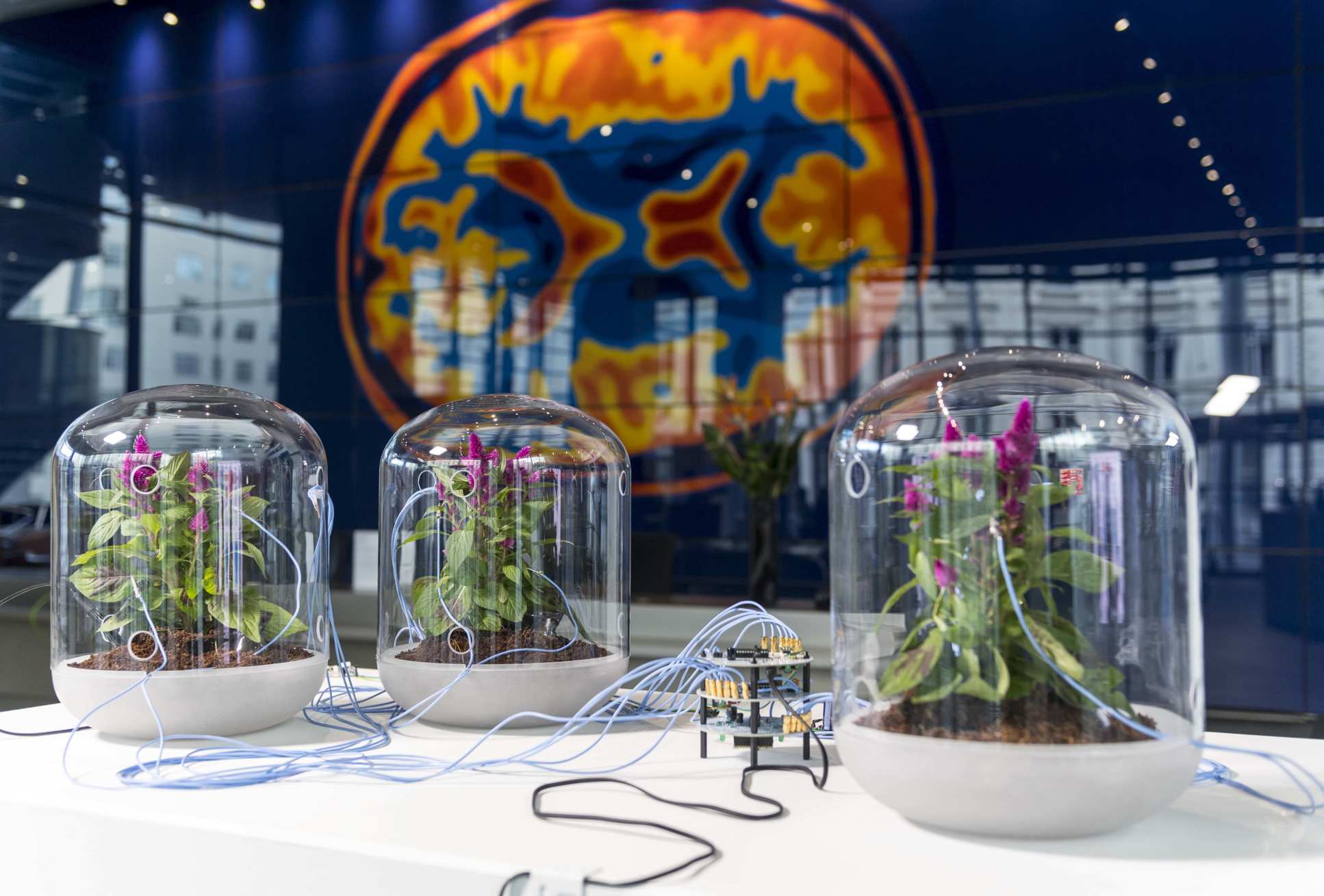 Winning entries of first Grantham Art Prize stir emotions at exhibition ...