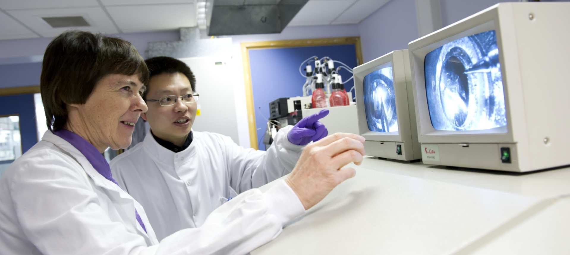 Department of Life Sciences | Faculty of Natural Sciences | Imperial ...