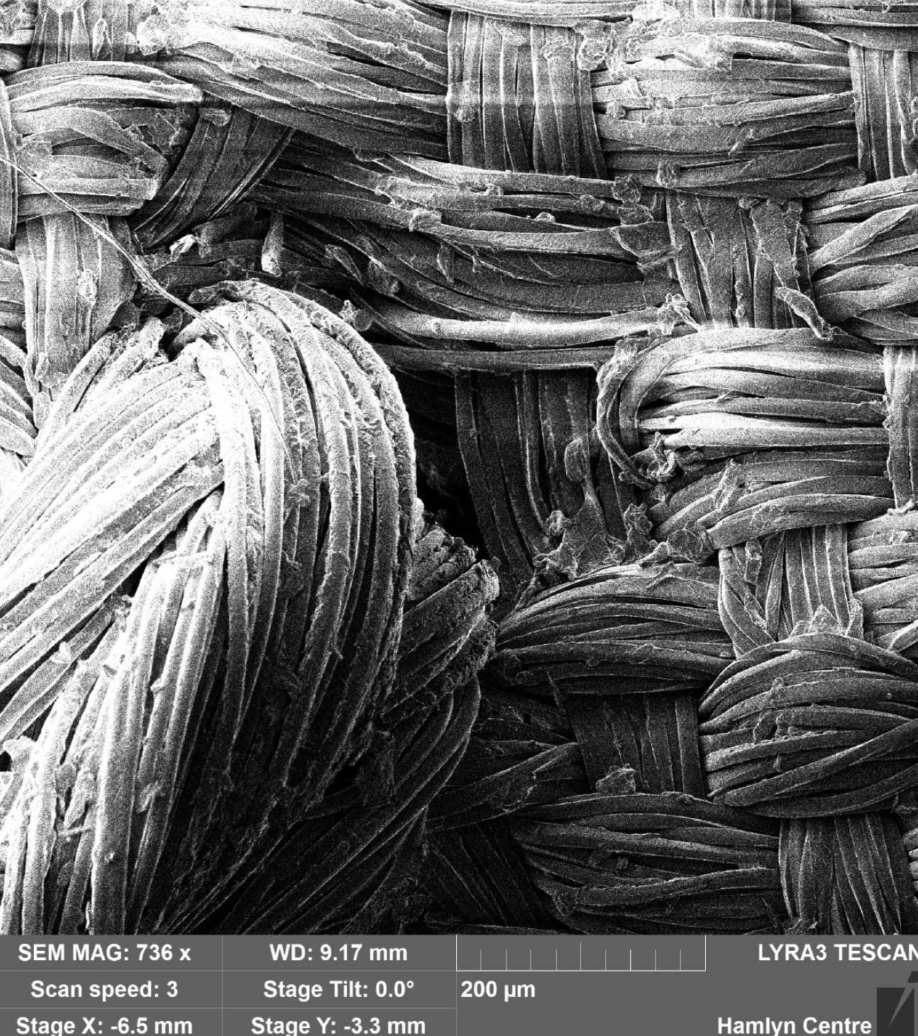 Robotic Sewing and Knot Tying for Personalised Stent Graft ...
