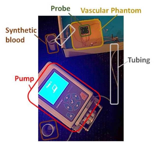 Tomographic Probe for Perfusion Analysis in Deep Layer Tissue ...