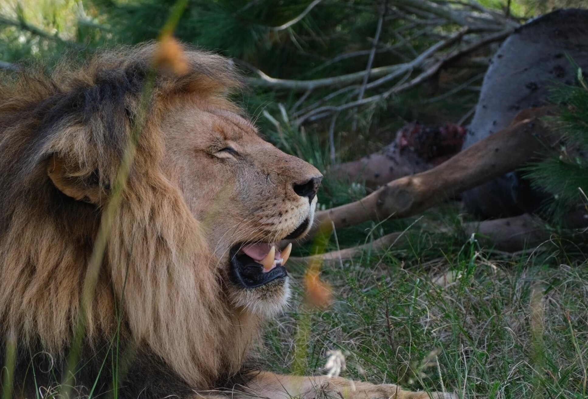 Biology students travel to South Africa for once in a life time field ...