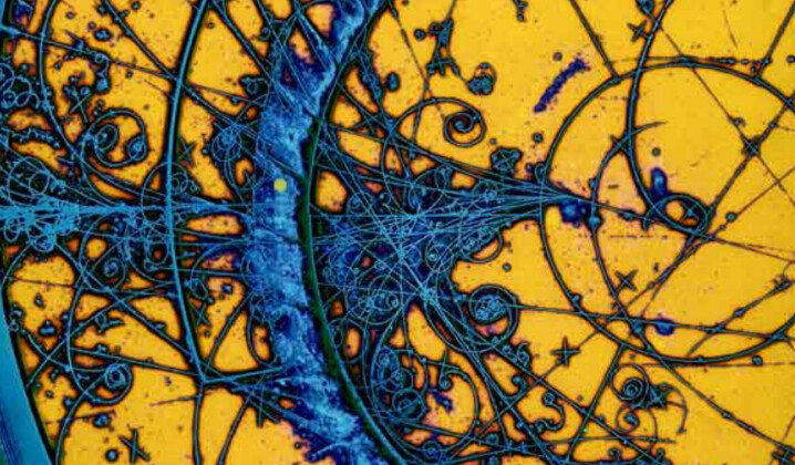 HEP seminar: Tamara Vazquez Schröder (IFAE Barcelona) – F(ℓ)avoured ...