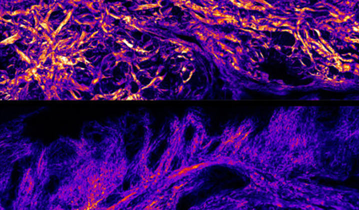 The science of skin | Events | Imperial College London