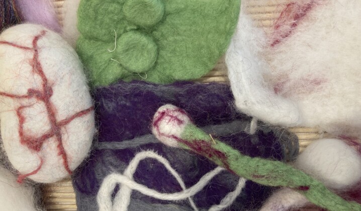 Felting with Sarah Gillham | Events | Imperial College London