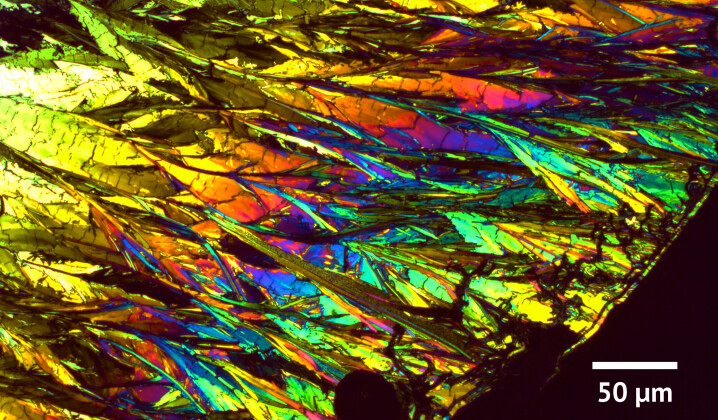 Friday Forum: Museums and the Arts – What is their Role in Science ...