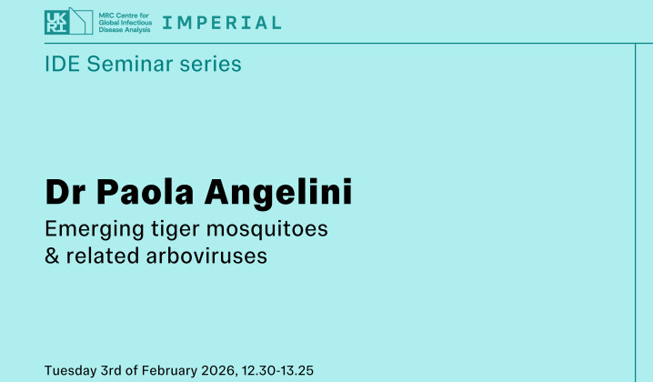 IDE Seminar Series – Dr Paola Angelini | Events | Imperial College London
