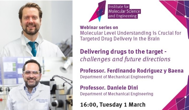 IMSE Webinar: Delivering drugs to the target – challenges and future ...