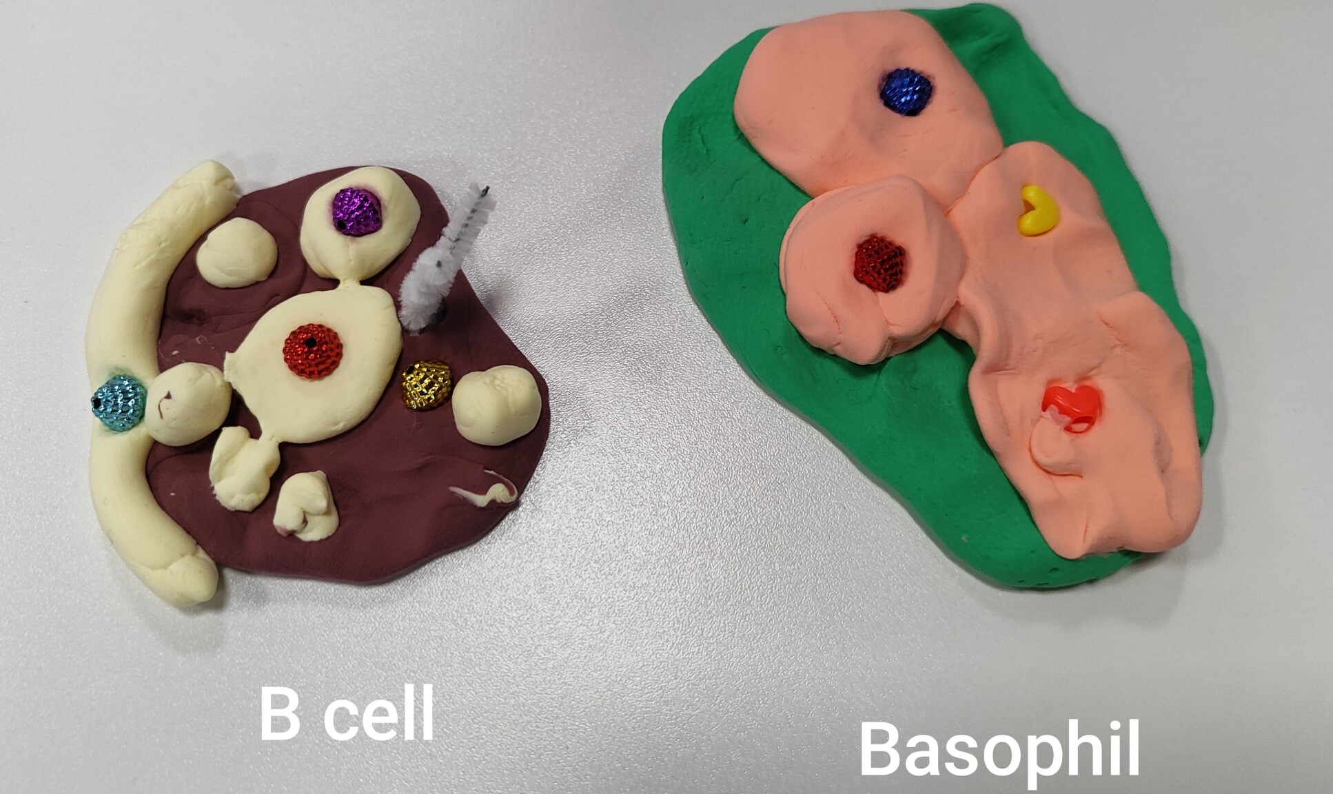 Inspiring the next generation of microbiologists at the Invention Rooms ...