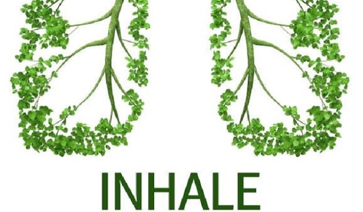 Air pollution exposure and respiratory response at a personal level ...