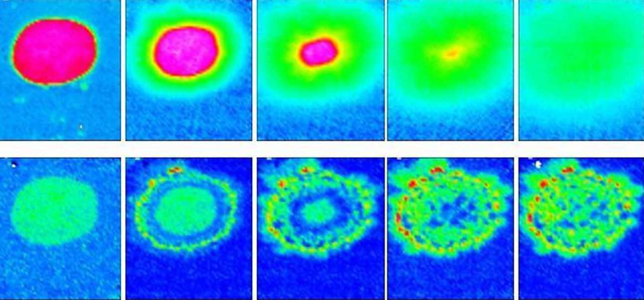 Spectroscopic imaging of tablet dissolution | Research groups ...