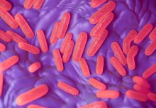Bacterial ‘sleeper cells’ evade antibiotics and weaken defence against ...