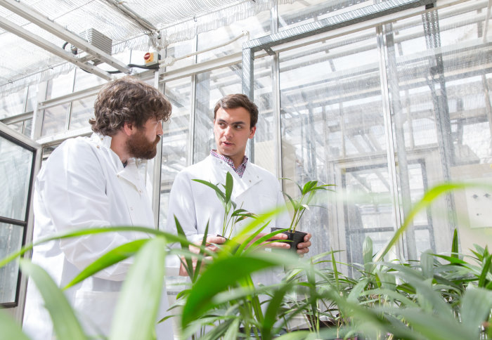Imperial marks launch of new Academic Strategy | Imperial News ...