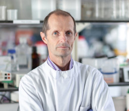 Postgraduate training | Research groups | Imperial College London