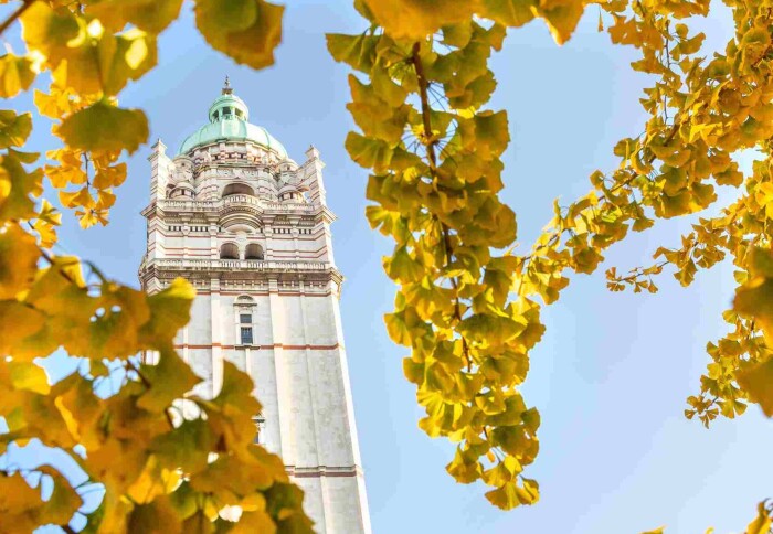 iCARE to facilitate NHS Digital Health summer school | Imperial News ...