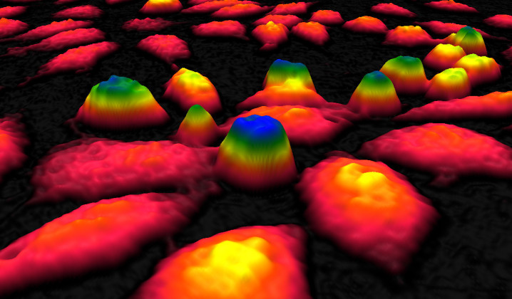 MDR-Bioinformatics meetup: AI Assisted Single Cell Analysis From High ...