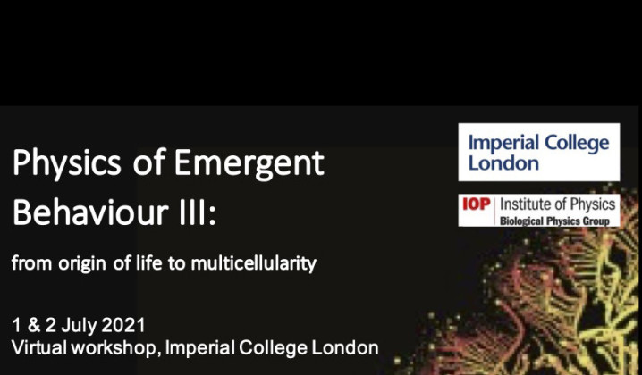 Physics of Emergent Behaviour III – From origin of life to ...