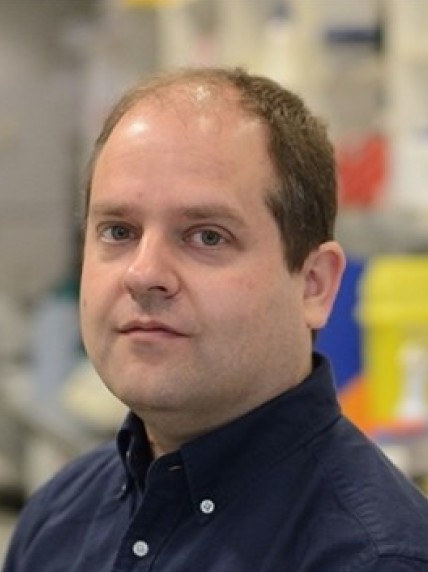 The team | Faculty of Medicine | Imperial College London