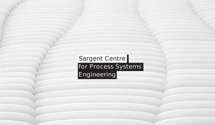 29th Roger Sargent Lecture by Professor Paula Barbosa-Póvoa | Events ...