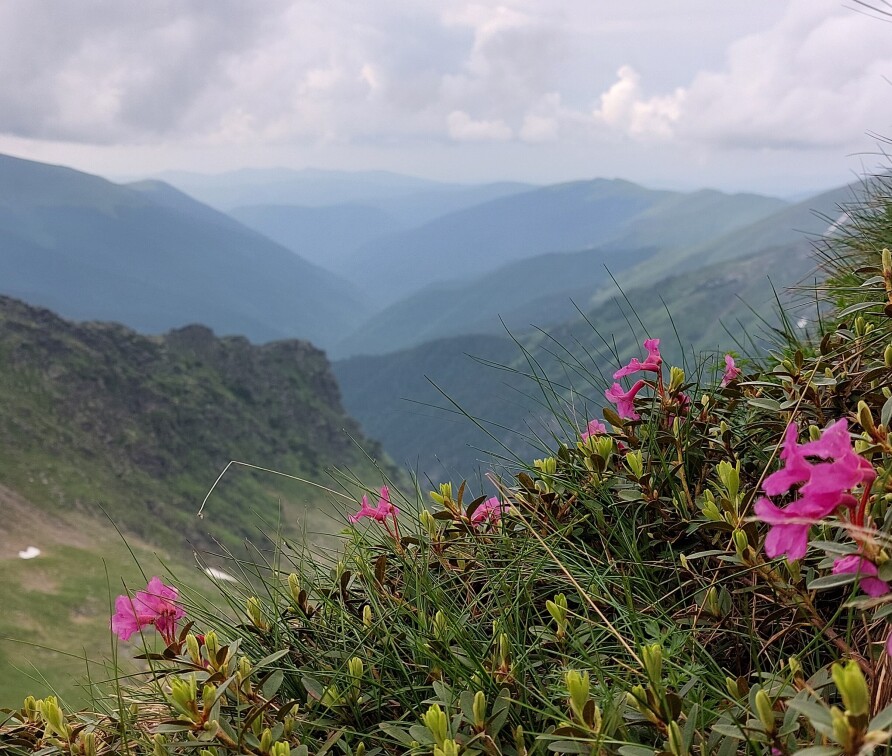 Department of Mathematics | Faculty of Natural Sciences | Imperial ...