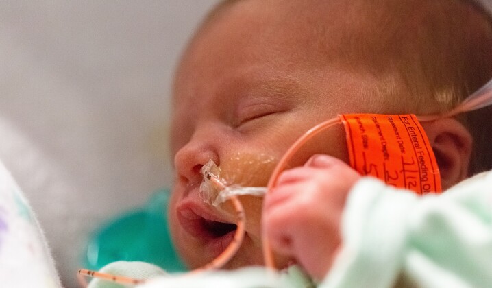 Neonatal nutrition and gastrointestinal conditions (Online) | Events ...