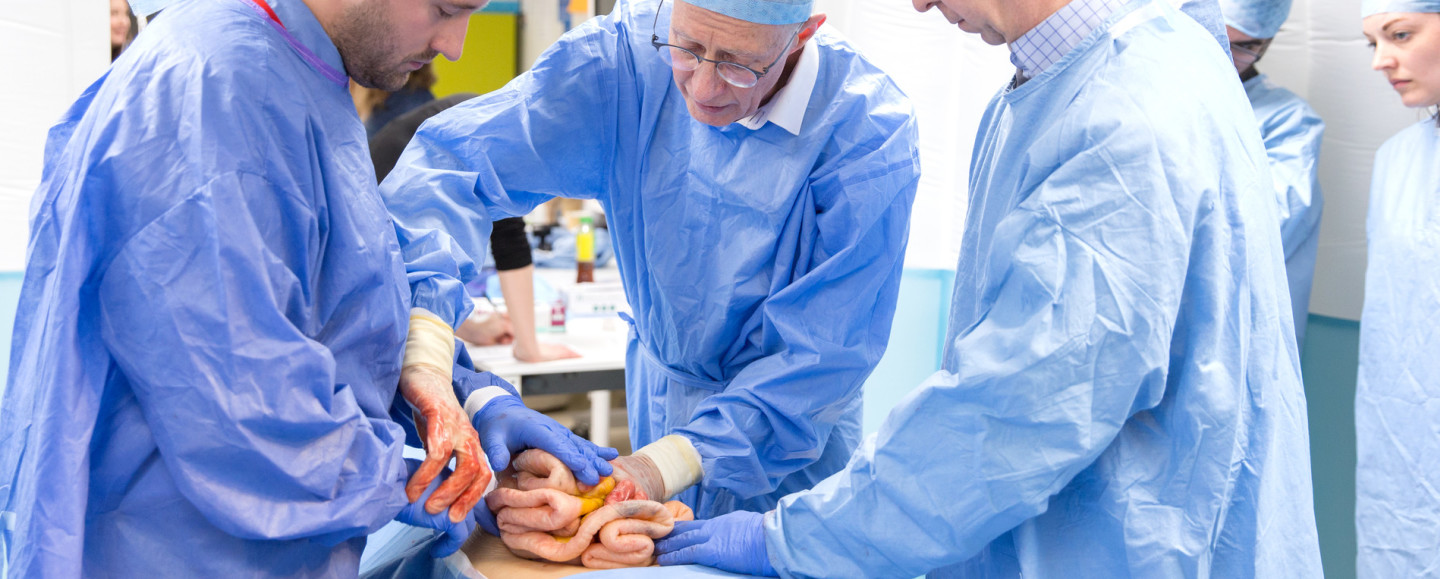 Department of Surgery and Cancer | Faculty of Medicine | Imperial ...