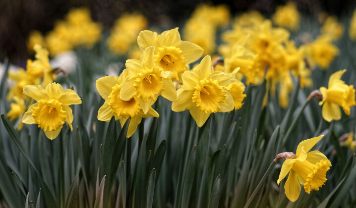 Musical Mingle in Physics | Events | Imperial College London