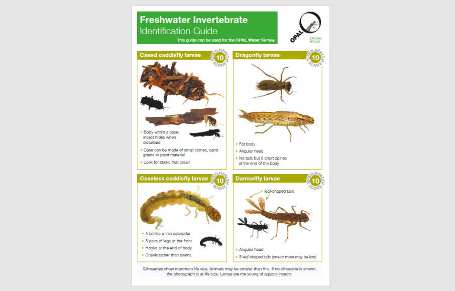 Water Survey | Research groups | Imperial College London
