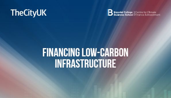Financing Low Carbon Infrastructure | Imperial College Business School