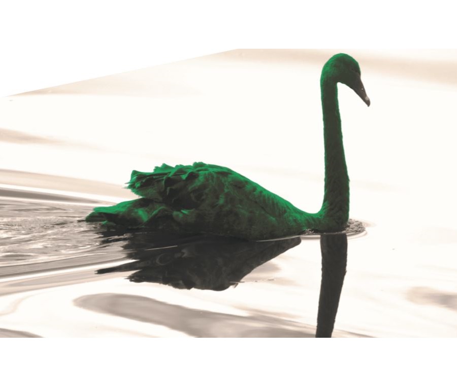 The Green Swan: Climate Change and financial stability | Imperial ...