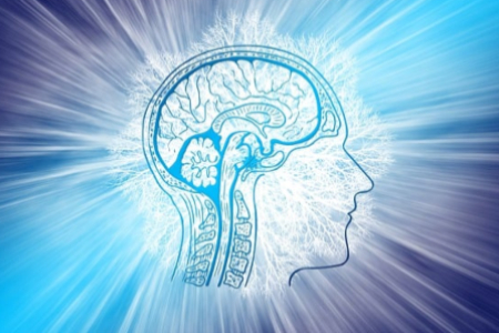 Understanding Science: The Brain - Neuroscience, Psychiatry and ...