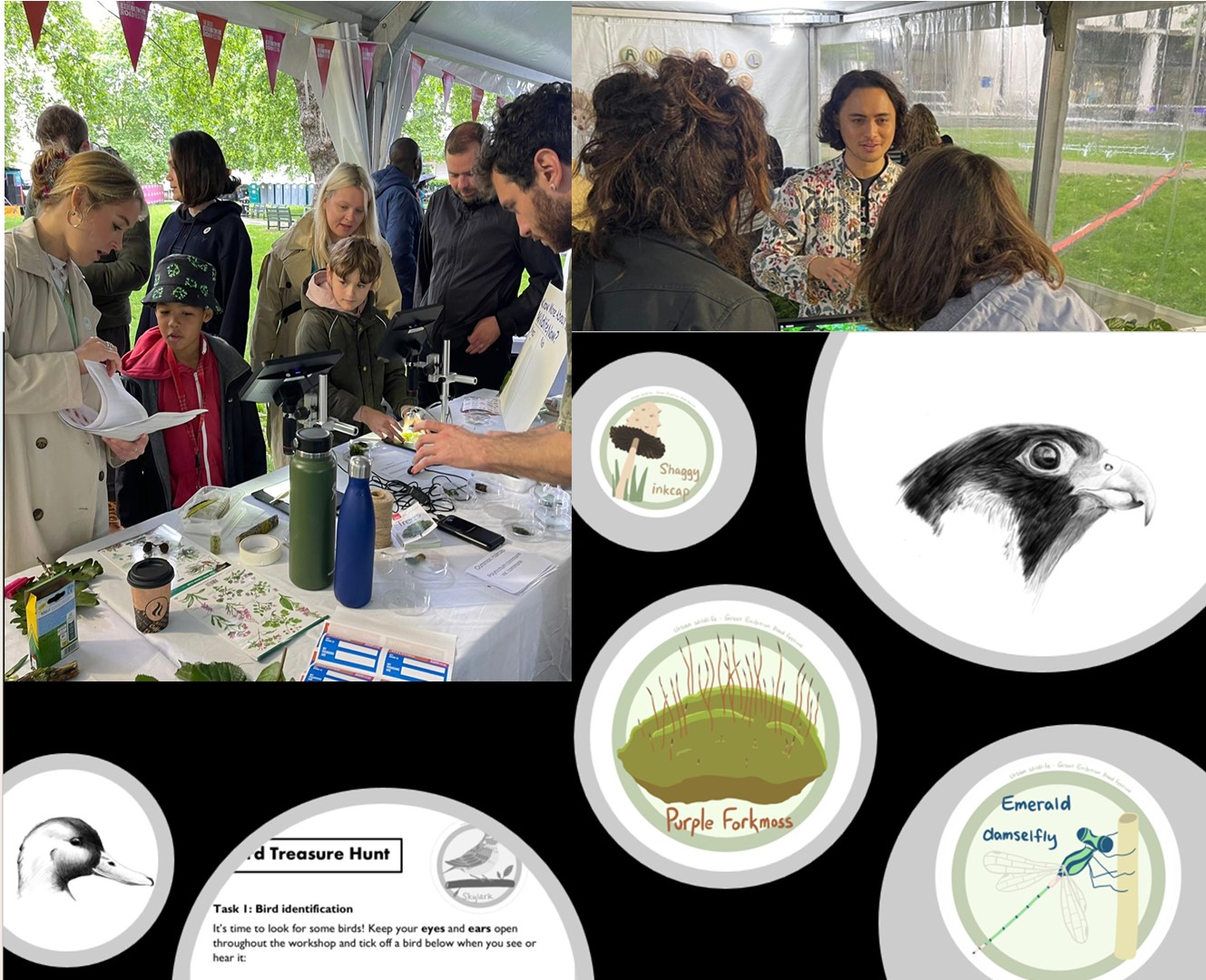 Urban Wildlife | Grantham Institute – Climate Change and the ...