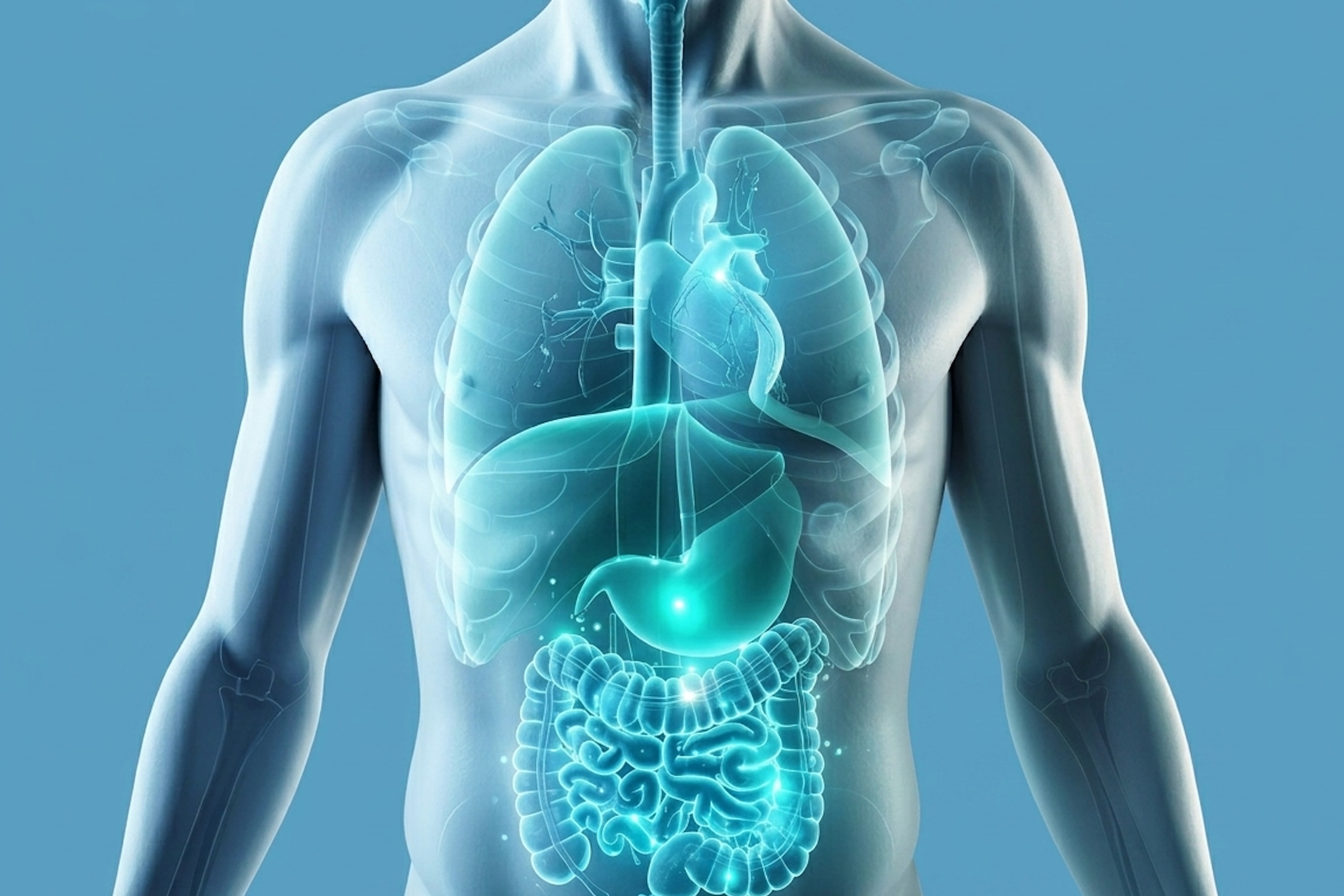 Gut microbes may reveal heart disease risk years before symptoms ...
