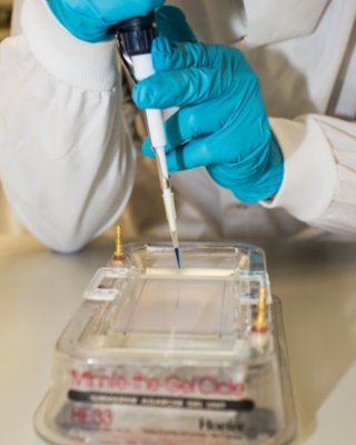 Department of Life Sciences, Imperial College London Summer School ...
