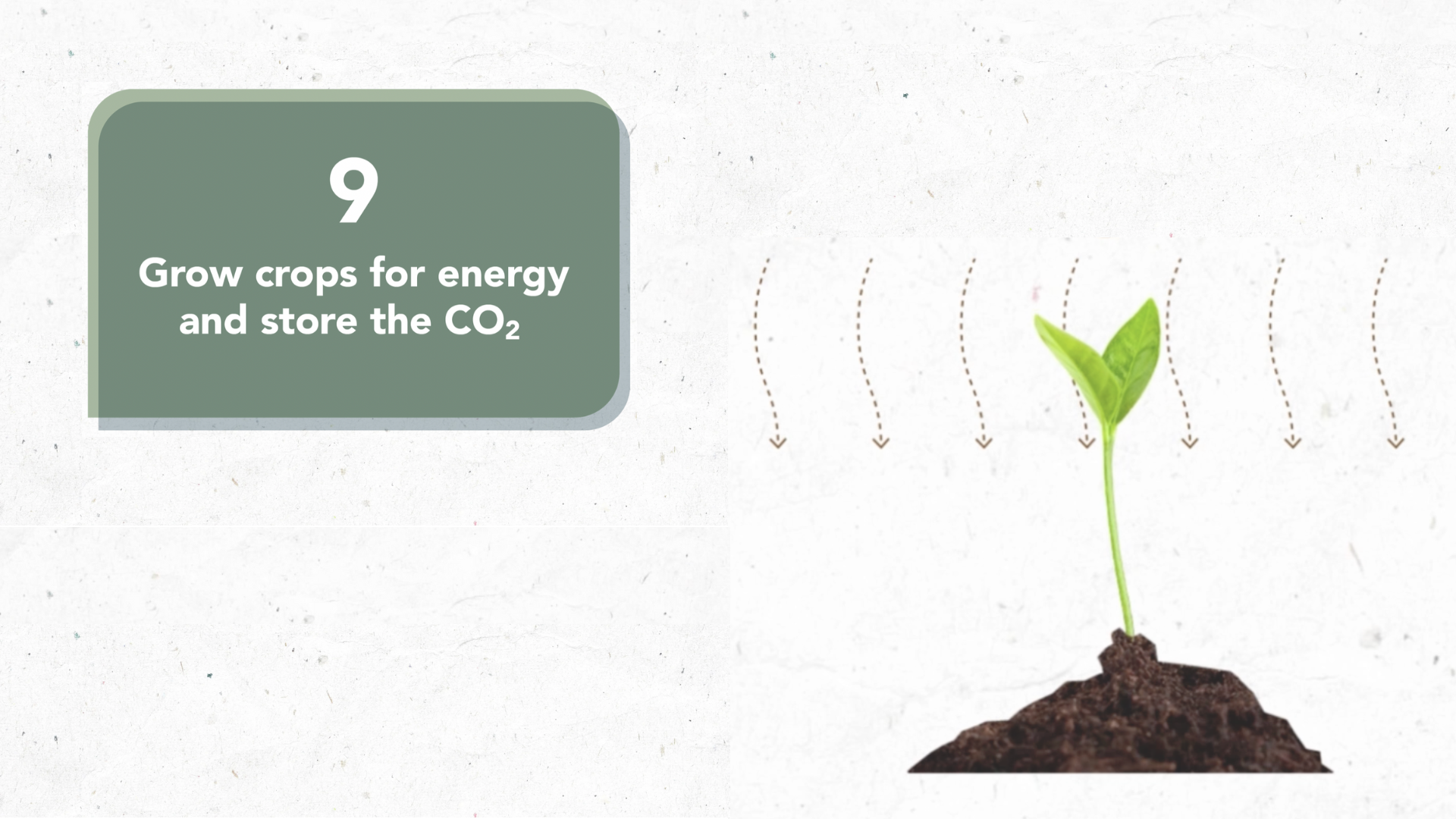 9. Grow crops for energy and store the CO2