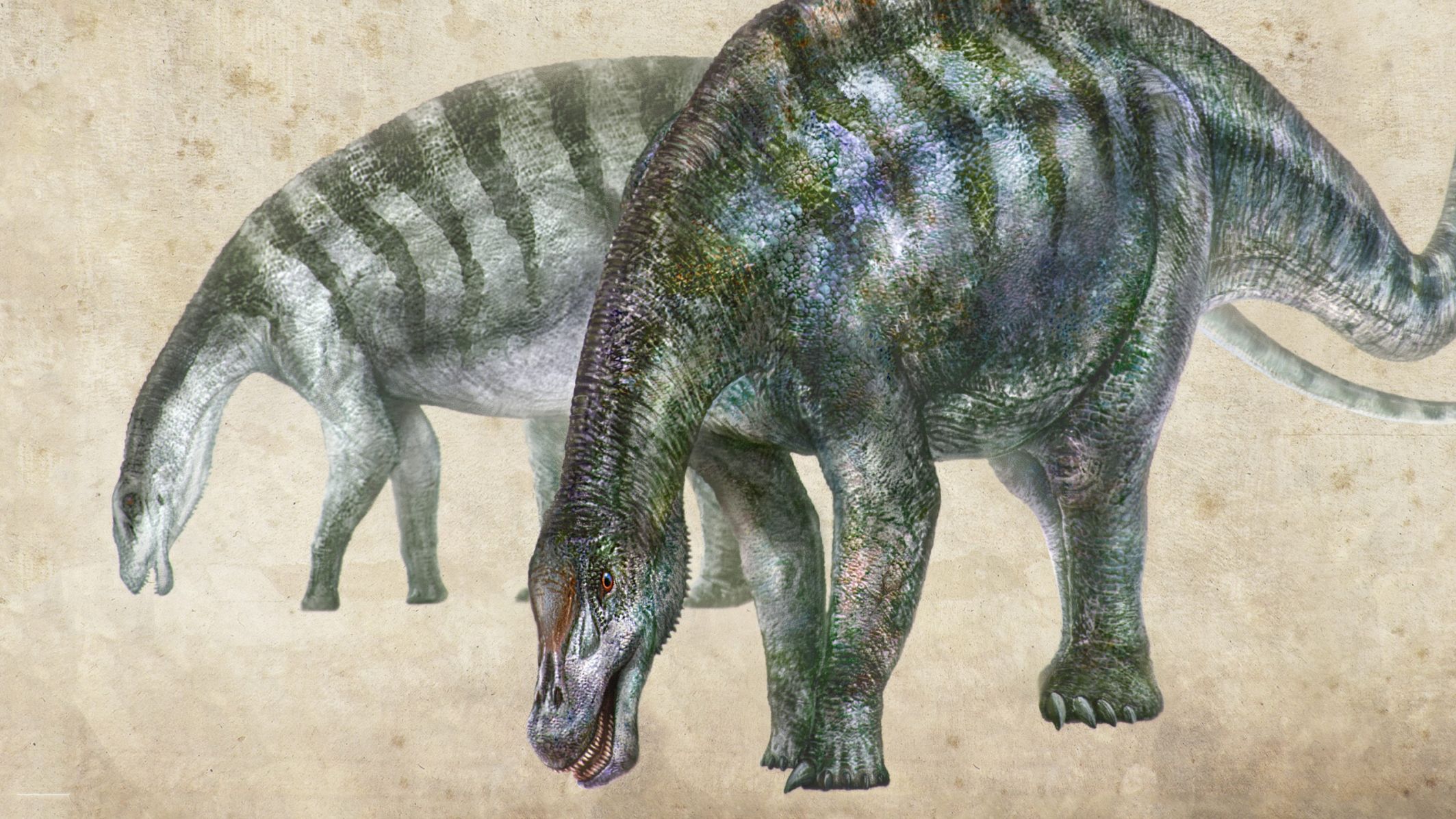 The dinosaurs: From dominance to doom