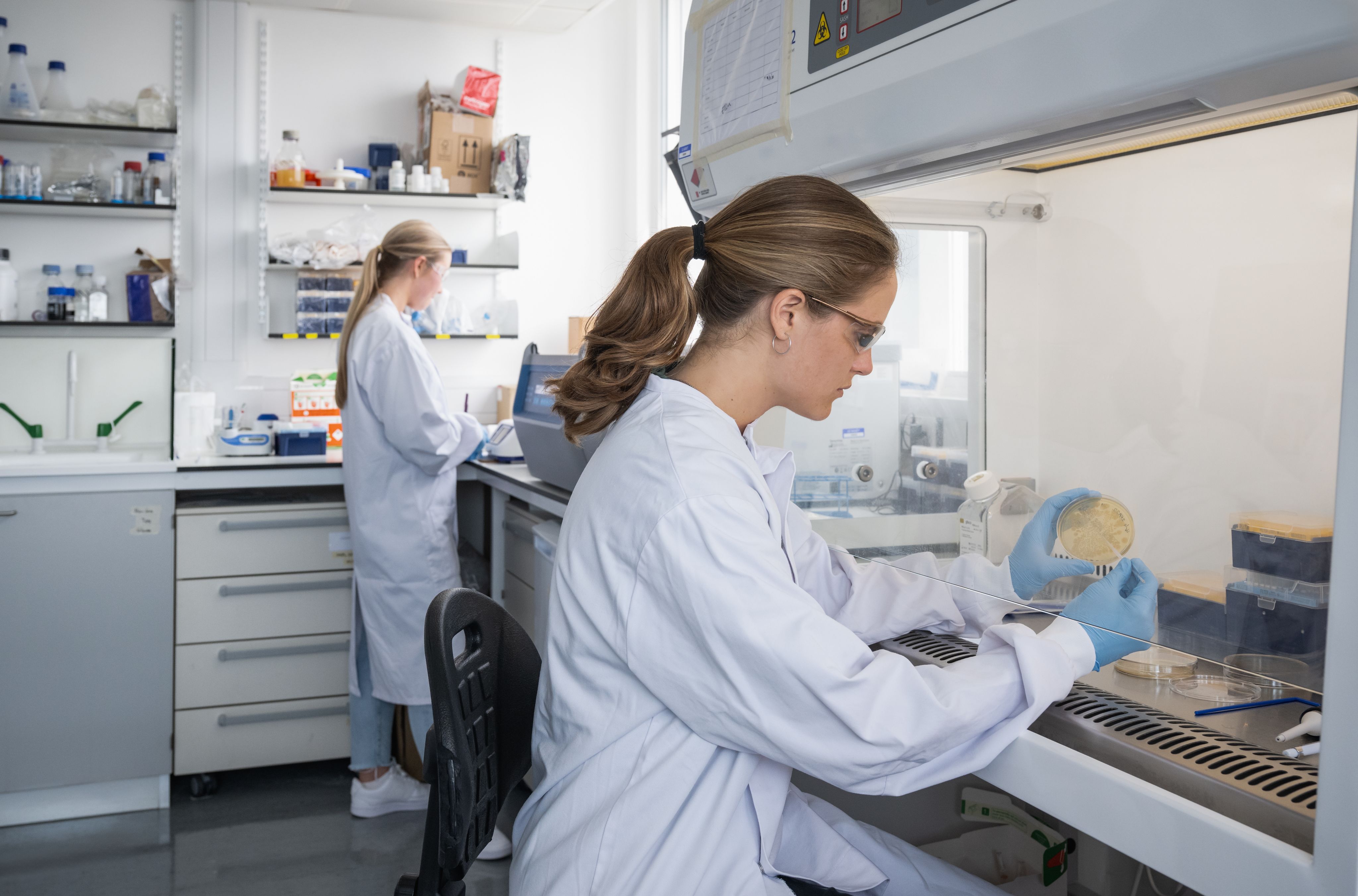 Co-production in action